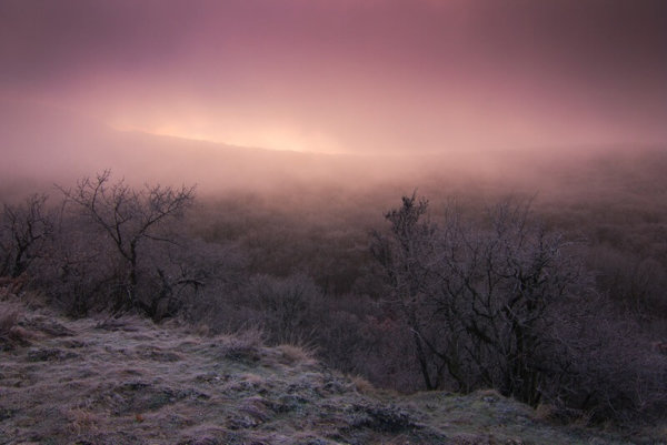 50 Magical Examples of Misty Morning Photography - The Photo Argus