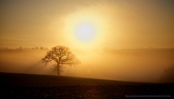 50 Magical Examples of Misty Morning Photography - The Photo Argus