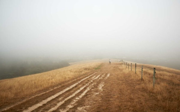 50 Magical Examples of Misty Morning Photography - The Photo Argus