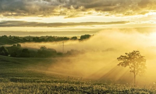 50 Magical Examples of Misty Morning Photography - The Photo Argus