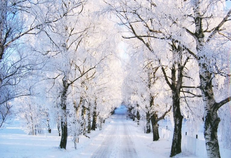 60 Beautiful Winter Pictures - The Photo Argus