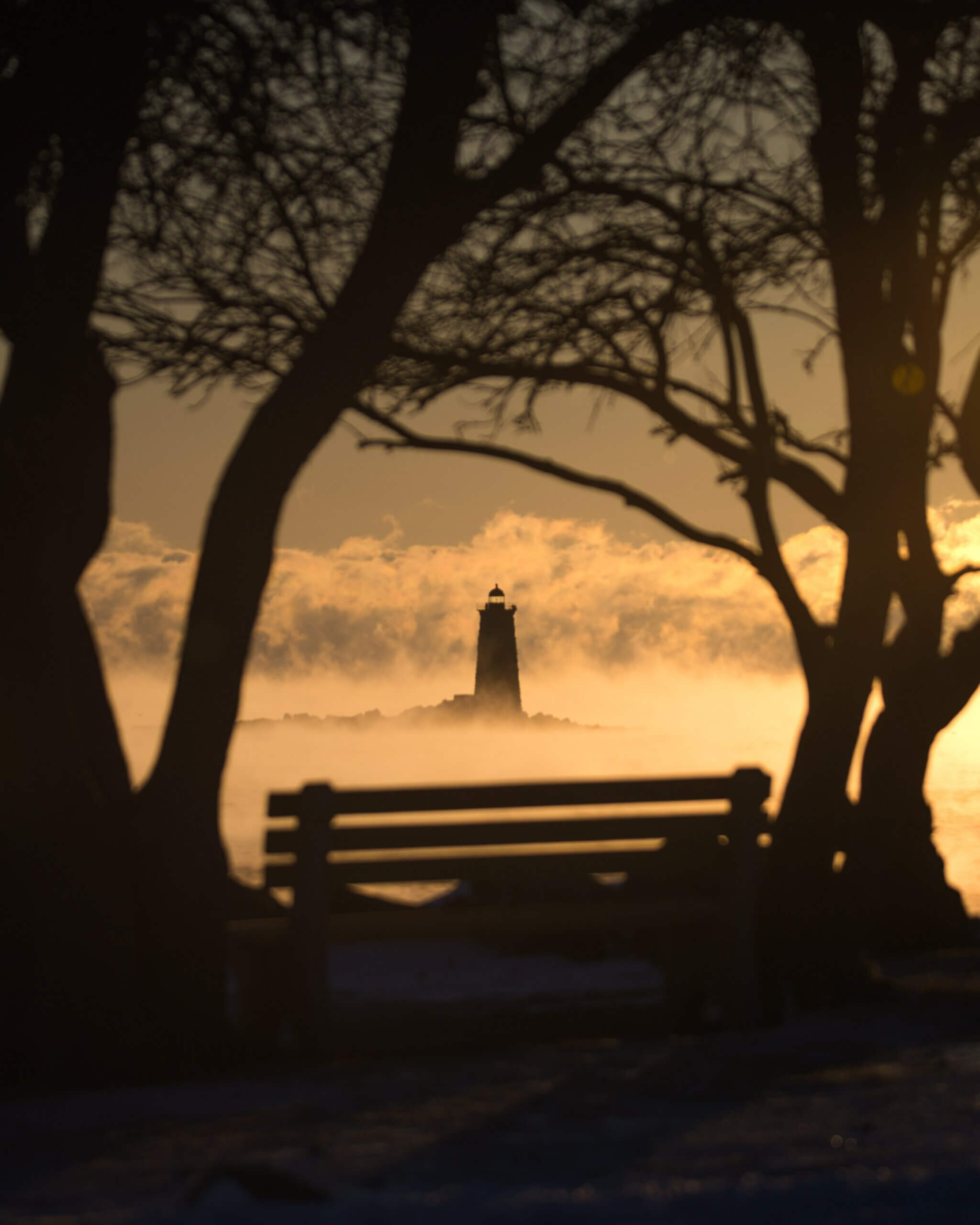 Exploring Composition: Essential Tools for Beginner Photographers - The ...