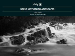 The Essence of Movement: 5 Free Resources to Unleashing Dynamic ...