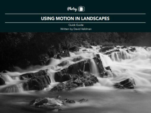 The Essence of Movement: 5 Free Resources to Unleashing Dynamic ...
