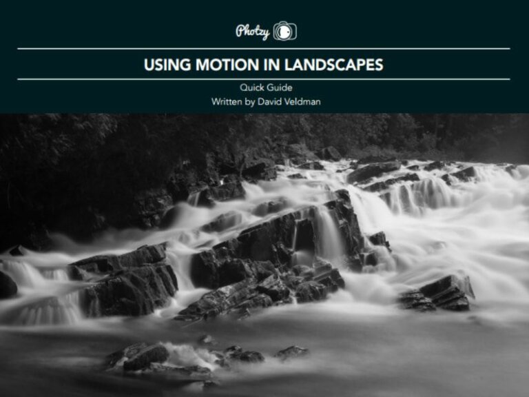 The Essence of Movement: 5 Free Resources to Unleashing Dynamic ...
